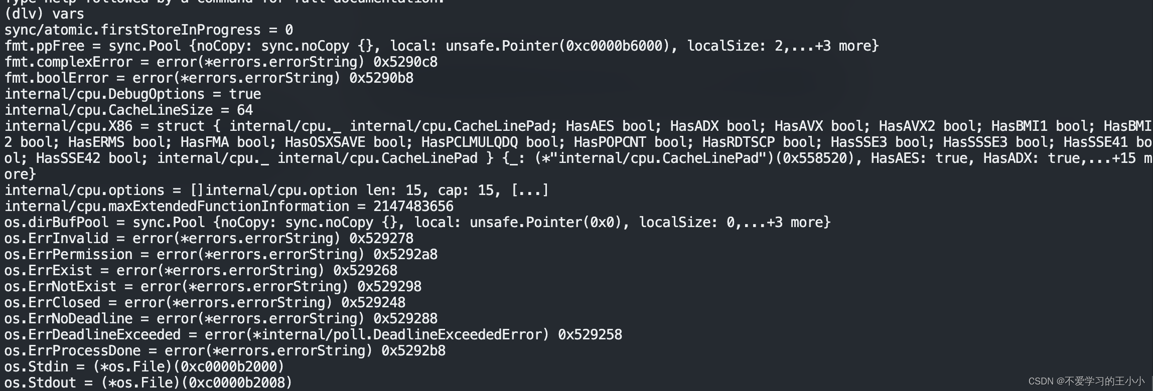 【golang的gdb之dlv】_golang dlv-CSDN博客