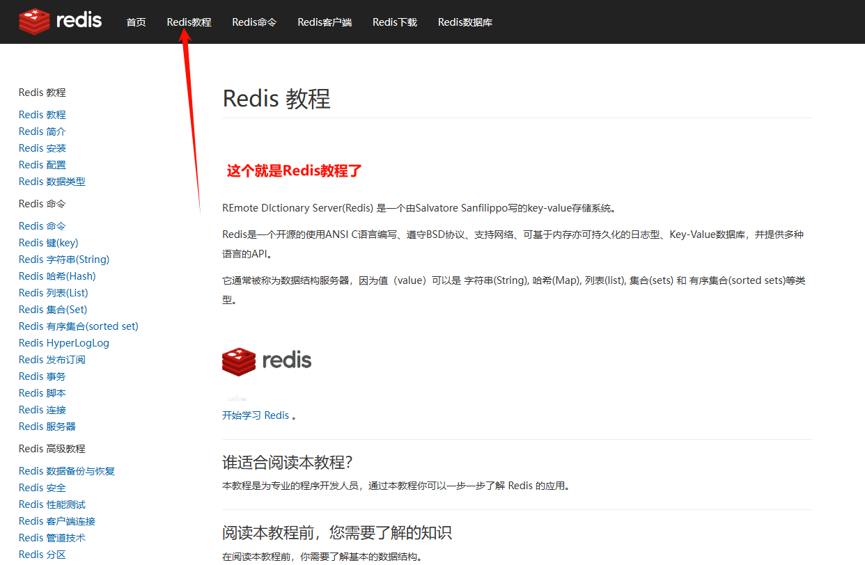 Redis教程（从入门到高阶）-CSDN博客