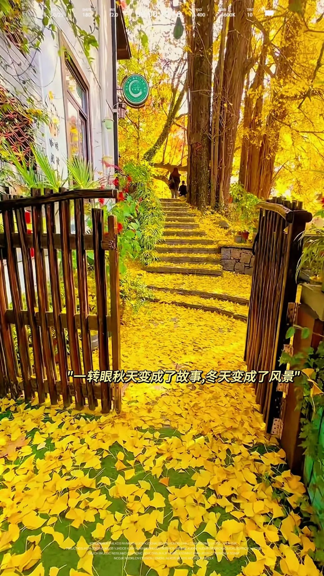 openGauss学习笔记-306 openGauss AI特性-DB4AI: 数据库驱动AI-原生DB4AI引擎-CSDN博客