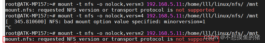 mount.nfs: requested NFS version or transport protocol is not supported的一种解决方式-CSDN博客