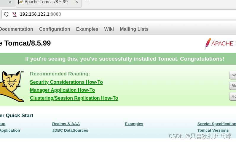 tomcat下载搭建_tomcat8.5.99下载-CSDN博客