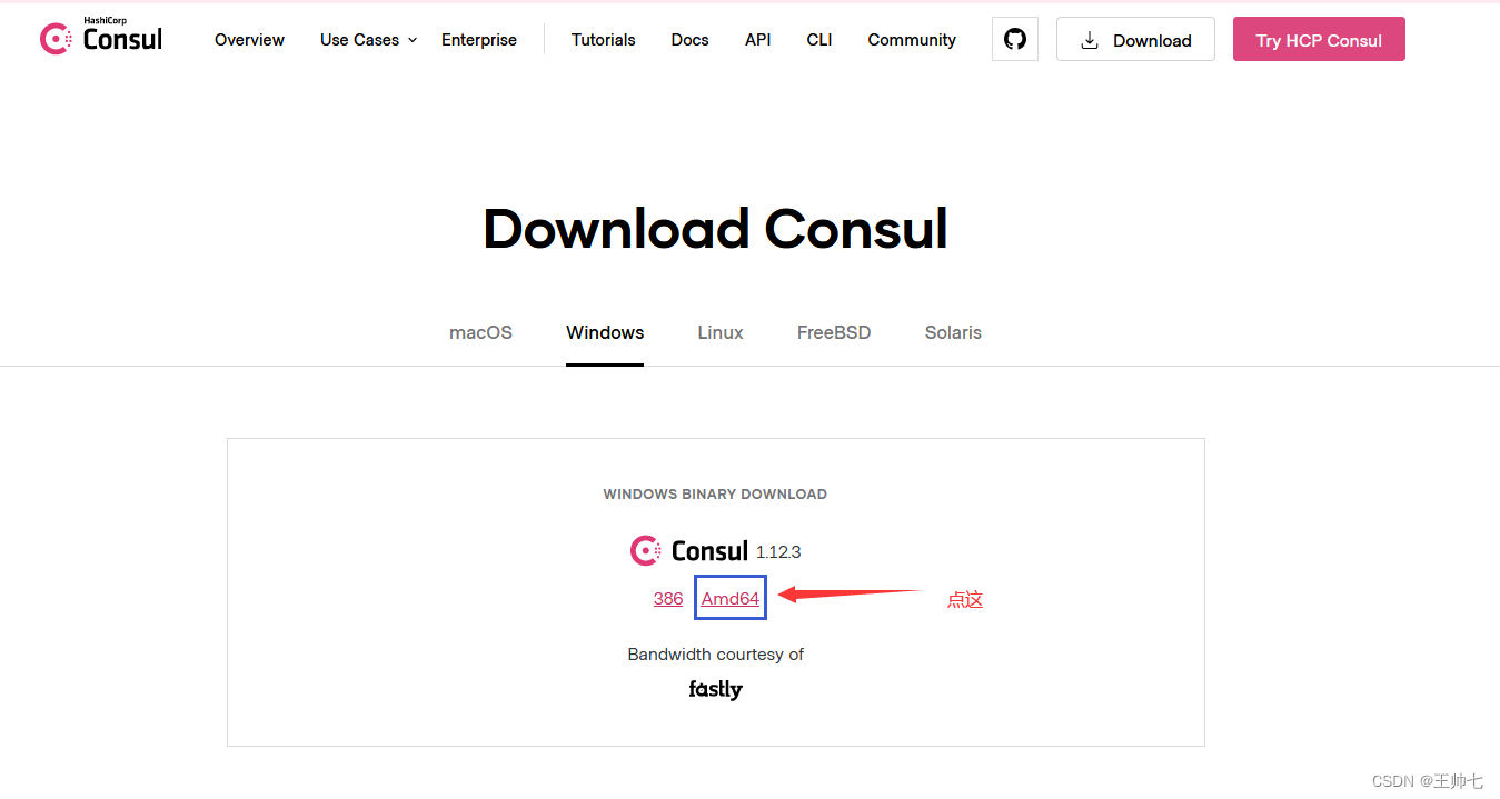 Windows consul安装 + 学习_windows安装consul-CSDN博客