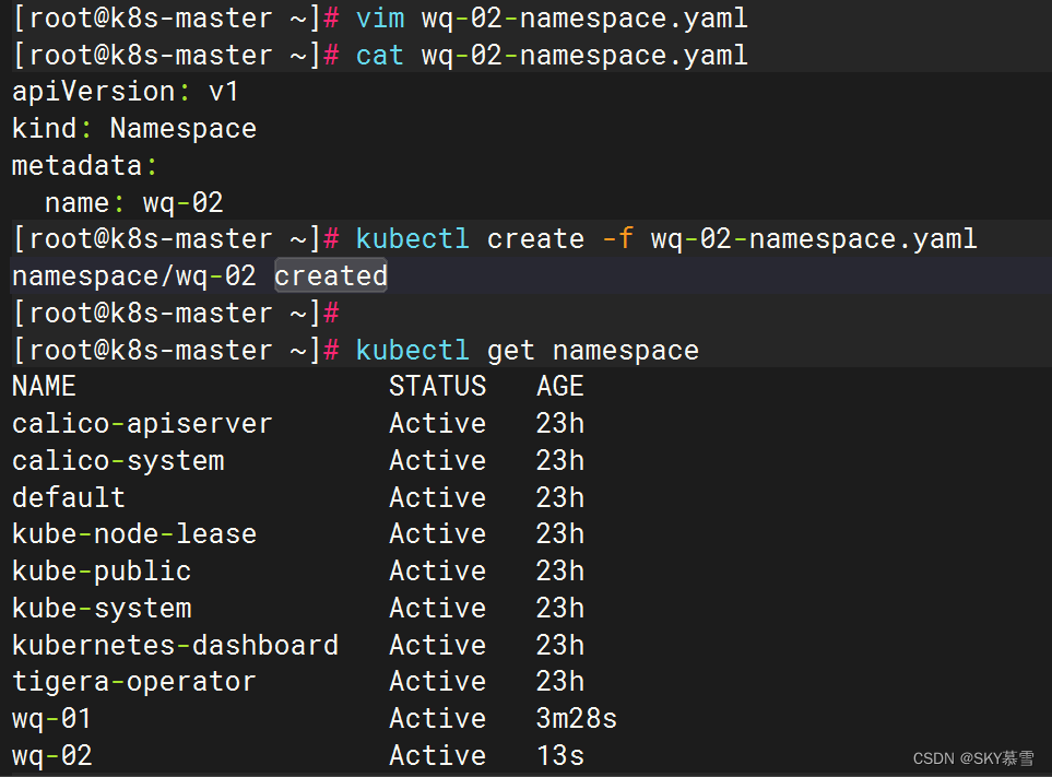 k8s-pod基本管理(namespace,pod增删查)_查看pod命令-CSDN博客