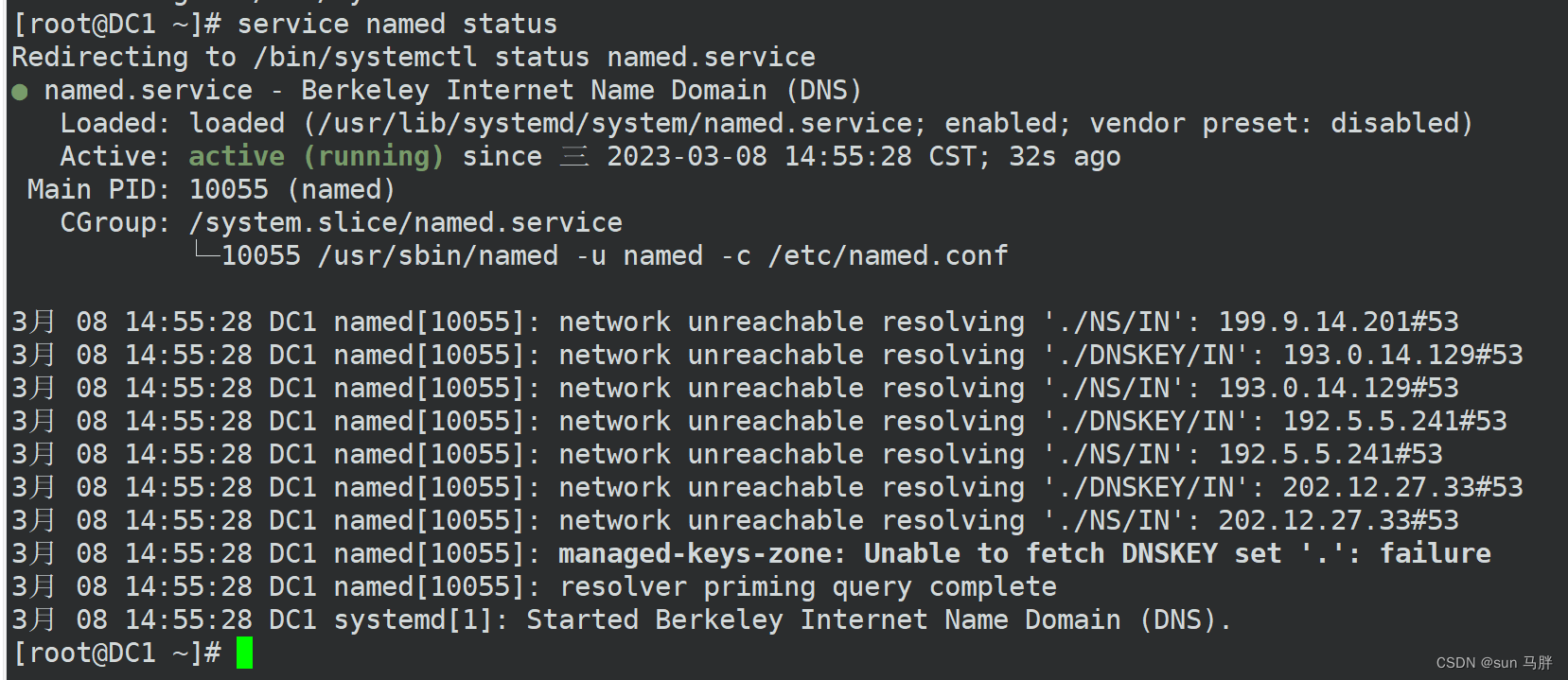 Centos-Linux配置dns(bind,named)_linux named-CSDN博客