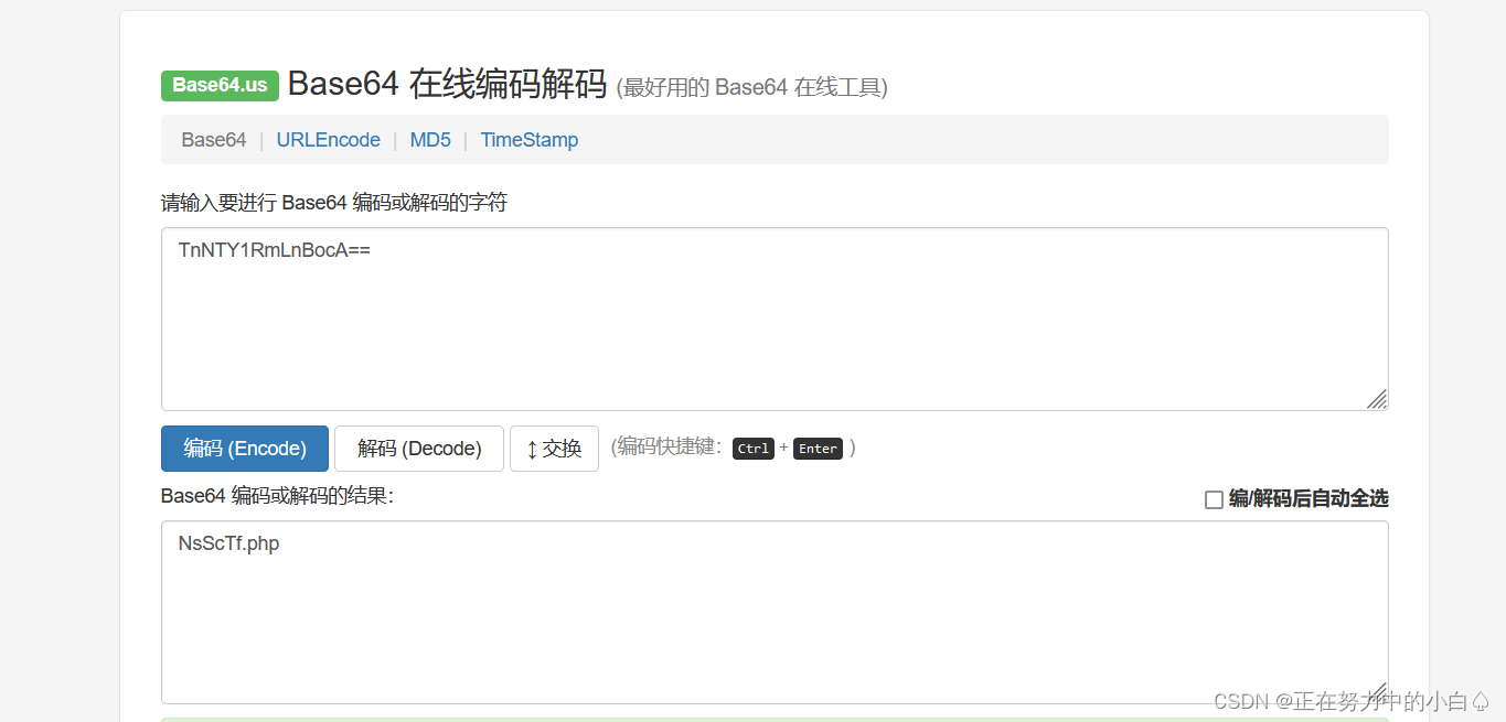 PHP安全挑战中的RCE、SSTI与代码审计：实战解析-CSDN博客