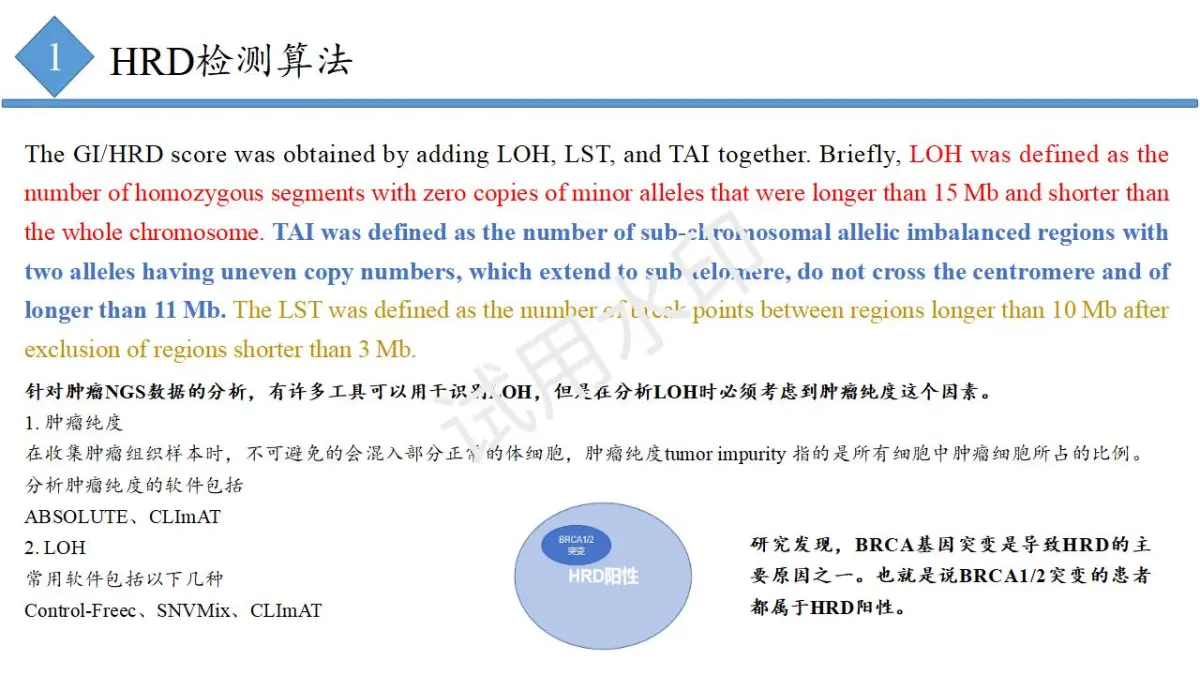 医学生特检与HRD培训-CSDN博客
