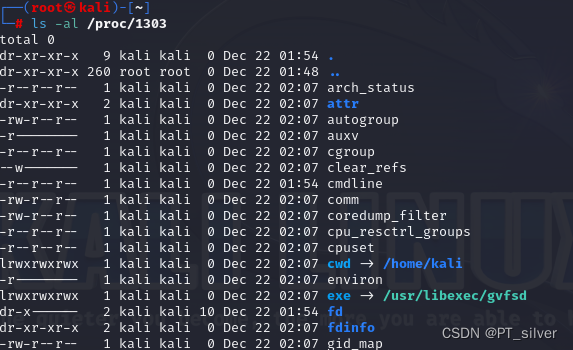 Linux的/proc/self/学习_flag常存放在proc里-CSDN博客
