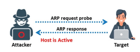 arping工具：网络诊断的得力助手_arpping工具-CSDN博客