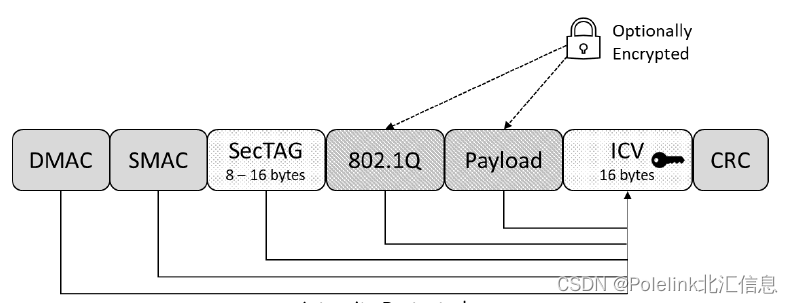 网络安全-MACsec车载应用技术解读：什么是MACsec | MACsec工作流程 | MACsec报文格式 | CANoe MACsec示例-CSDN博客