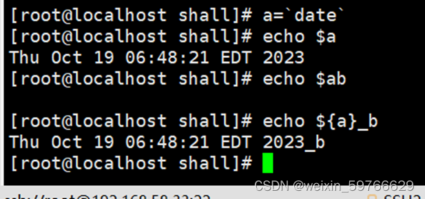 深入理解LinuxShell脚本编程基础,-CSDN博客