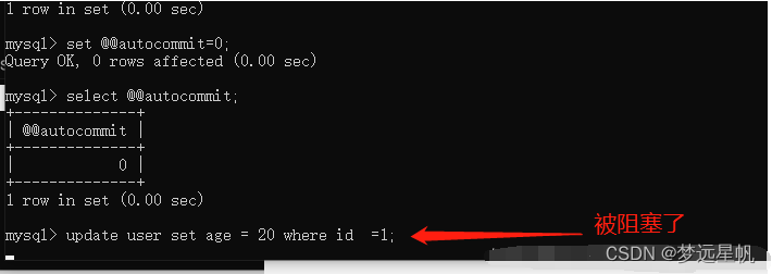 数据库select......for update会锁表还是锁行_select for update锁什么-CSDN博客