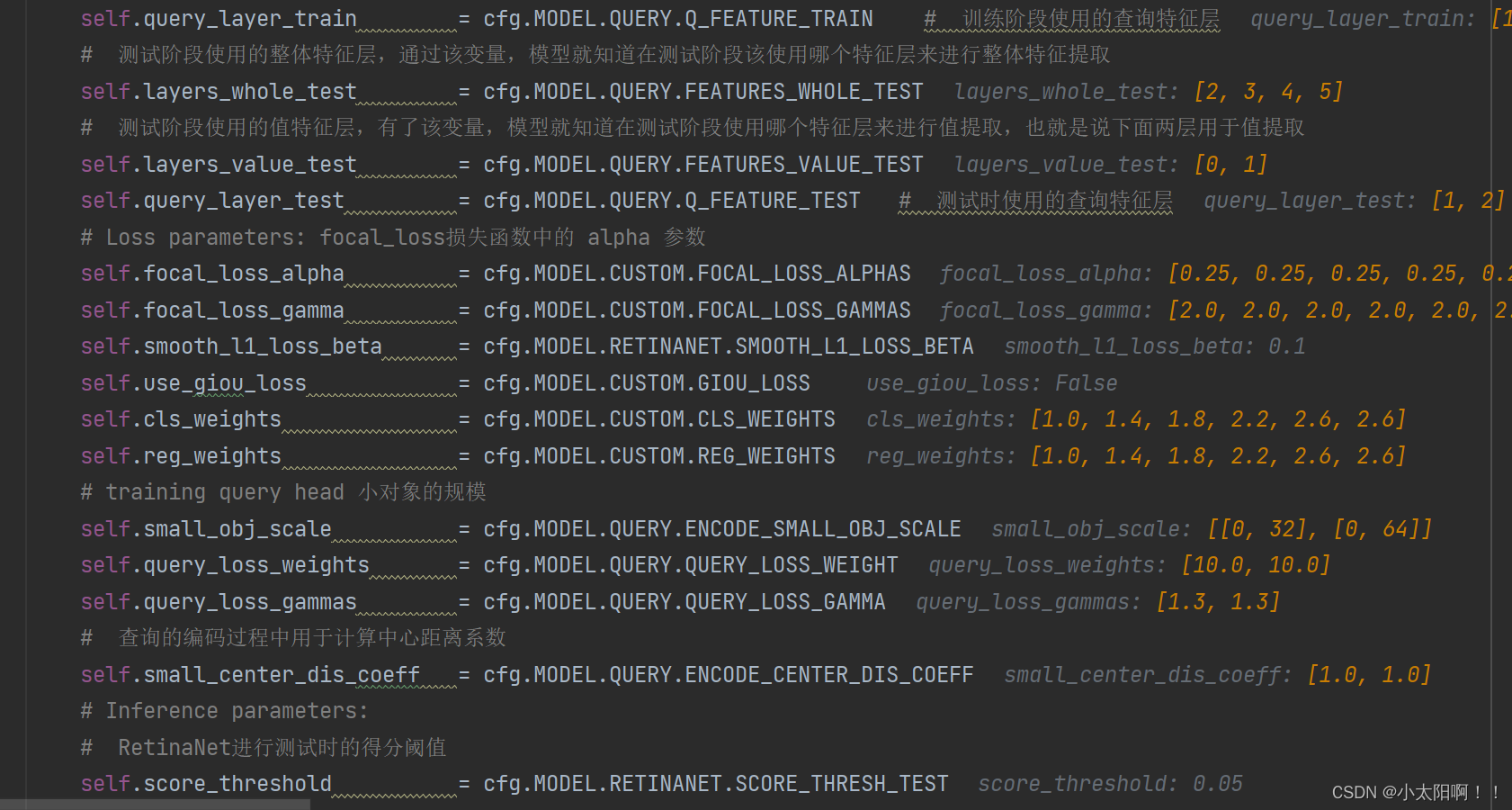 QueryDet代码解析-CSDN博客