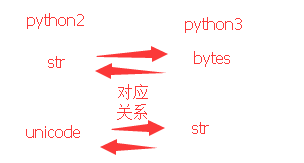 python2 unicode bytes_關於python2中的unicode和str以及python3中的str和bytes-CSDN博客