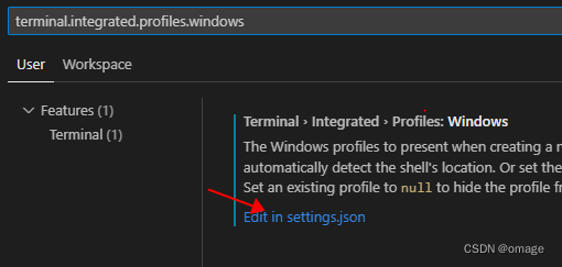 VSCode配置git bash为默认终端_vscode设置默认终端为git-CSDN博客