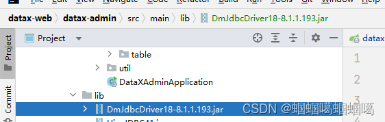 Datax-web 添加达梦数据库_datax支持达梦数据库吗-CSDN博客
