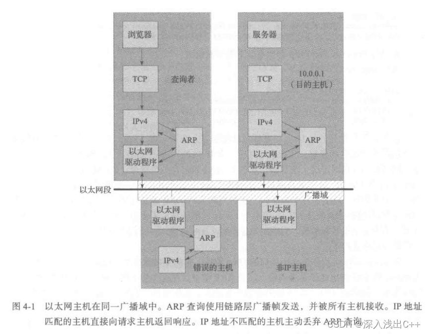 ARP（Address Resolution Protocol）地址解析协议详解_protocol arp-CSDN博客