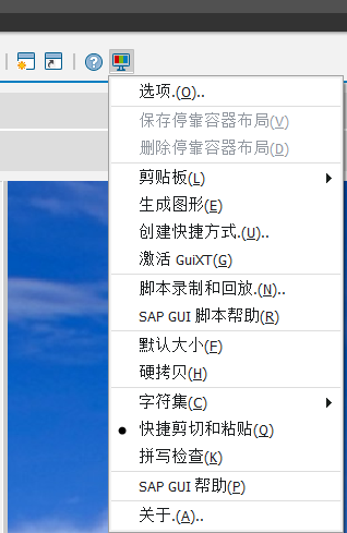 python与sap_Python结合SAP GUI Script操作sap的简易教程-CSDN博客