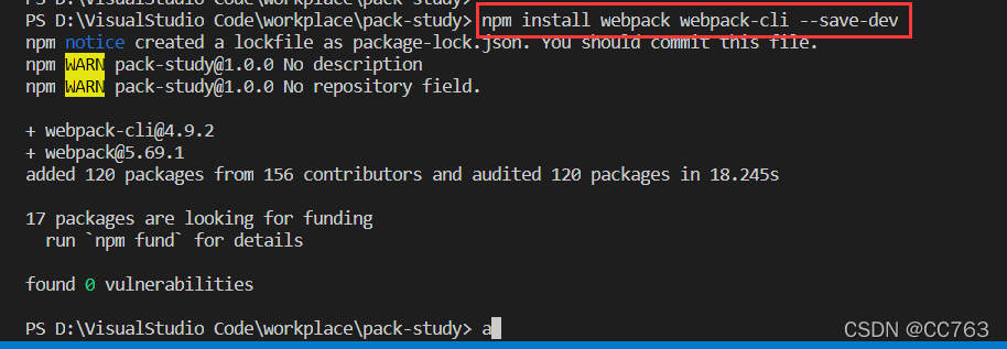 VsCode中安装webpack_vscode安装webpack-CSDN博客