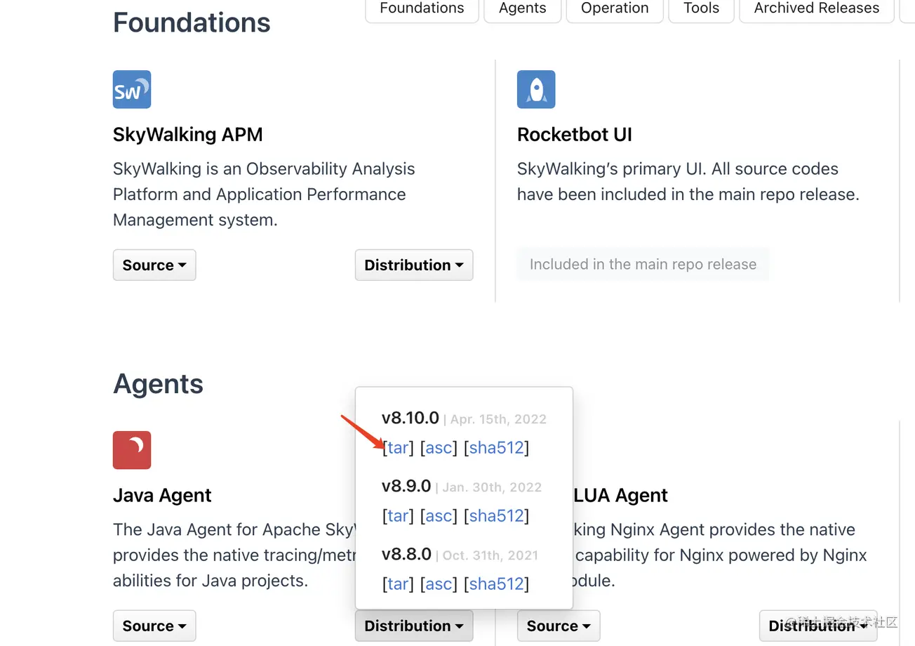 skywalking简单安装使用_skywalking-agent.jar下载-CSDN博客