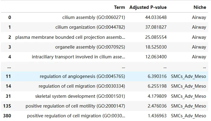 空间转录组niche通路富集与空间“hotspot”-CSDN博客