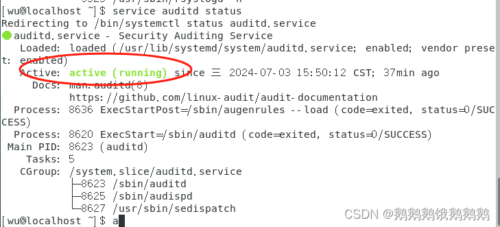 网络安全等级保护测评-安全计算环境-Linux-下篇_rsyslog和auditd-CSDN博客