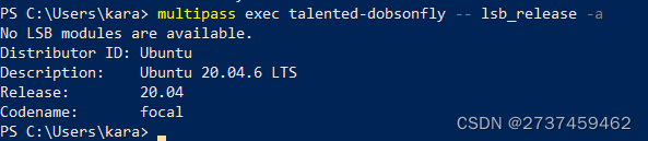 Multipass-虚拟机工具-CSDN博客