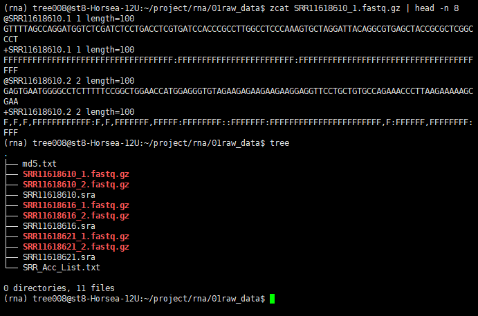 RNA-seq——上游分析练习2（数据下载+trim-galore+hisat2+samtools+featureCounts）_上游分析实战 ...