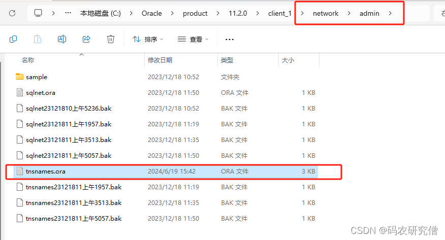 详细分析Oracle中的tnsnames.ora基本知识 以及 PLSQL如何连接（附Demo）-CSDN博客