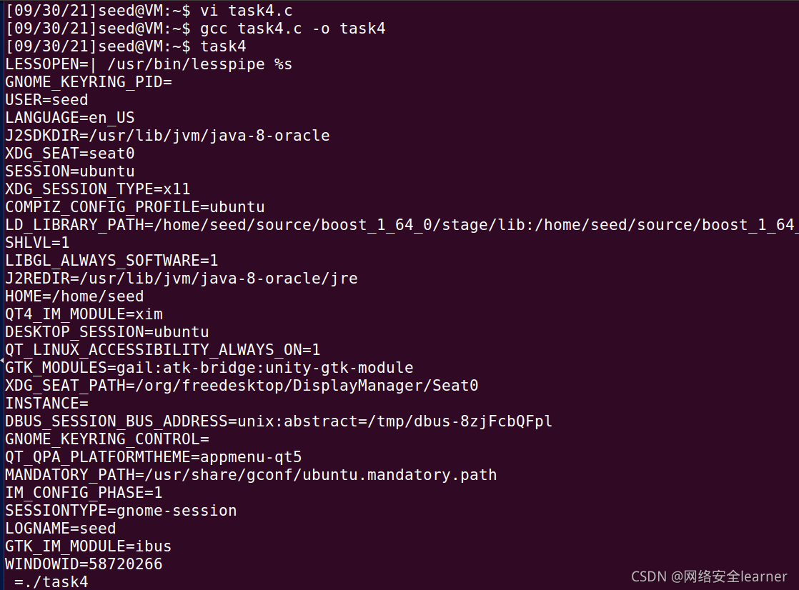 Environment Variable and Set-UID Program Lab-CSDN博客