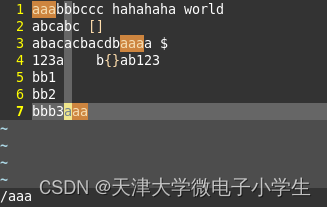 VIM奇技淫巧-VIM/GVIM中的正则匹配_gvim正则匹配-CSDN博客