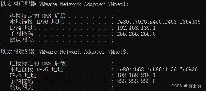 虚拟网卡team的配置方法_netswitchteam-CSDN博客