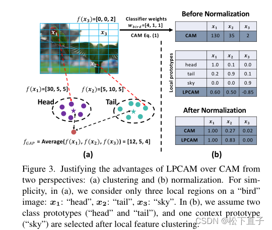 从非判别特征中提取类激活映射_extracting class activation maps from non-discrimi-CSDN博客