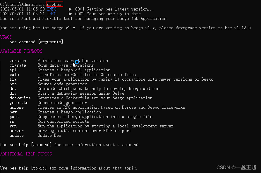 go工具包beego和bee安装_beego bee-CSDN博客