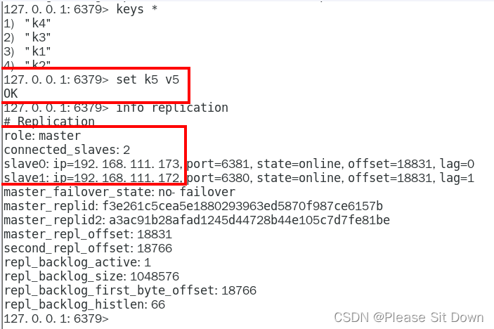 Redis复制 (replica)_redis info replication-CSDN博客
