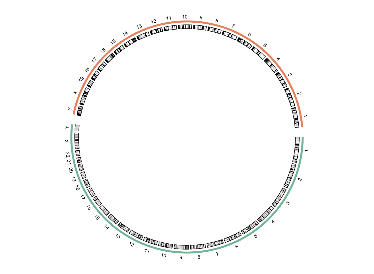 R 数据可视化 —— circlize 基因组初始化_circos.genomictrack-CSDN博客