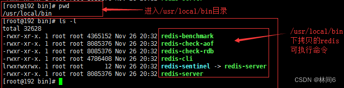 Linux上安装Redis_redis5 linux 解压安装-CSDN博客