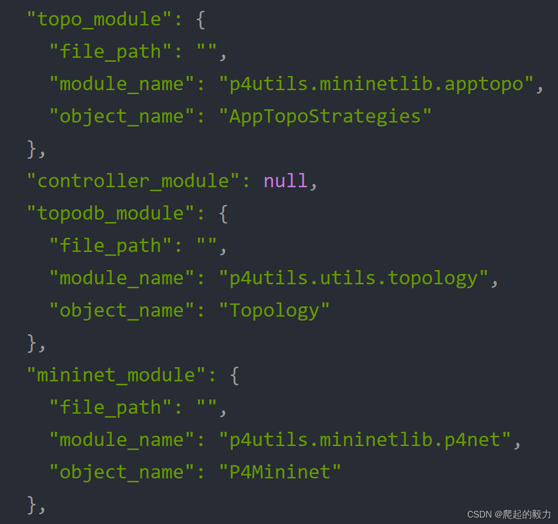 p4utils应用时发现p4文件定义的表显示无效_p4 utils-CSDN博客