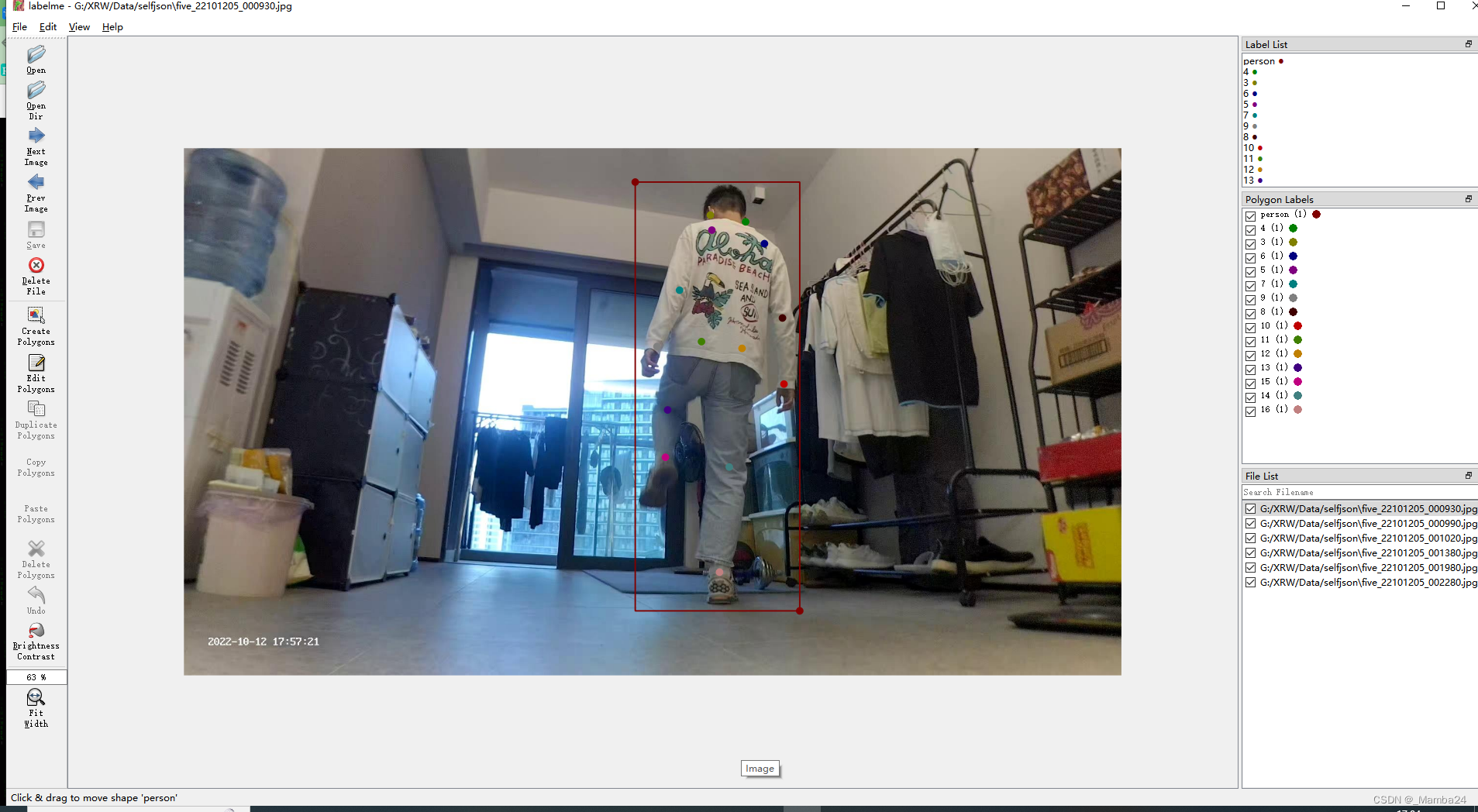 将labelme标注的人体姿态Json文件转成训练Yolov8-Pose的txt格式_labelme骨骼点json转yolo-CSDN博客