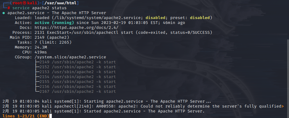 Linux利用Suid提权实验_suid shell的使用-CSDN博客