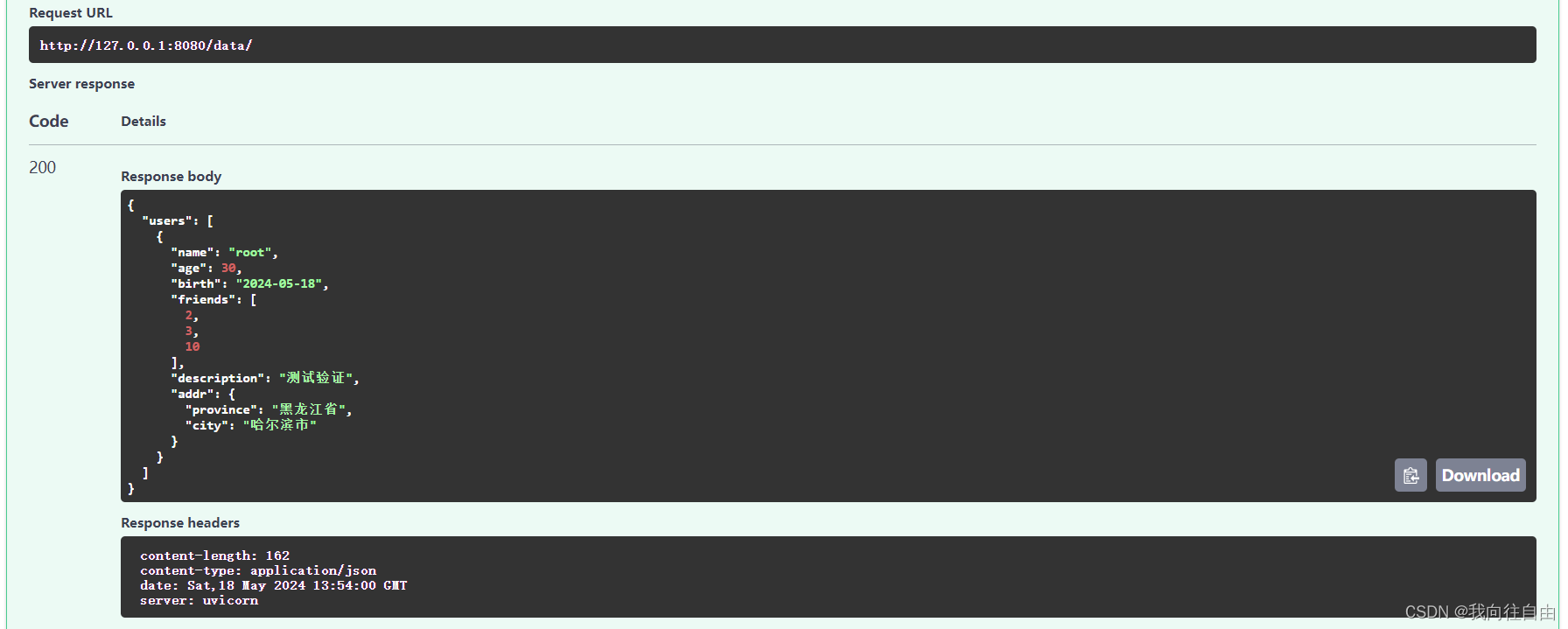 【最快入门】一篇文章学会Python最快框架fastapi_python fastapi教程-CSDN博客