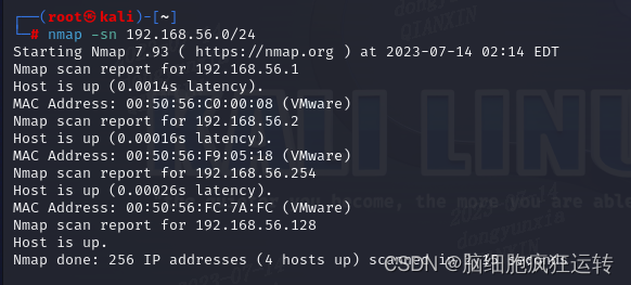 【信息查询】_sr1指定源ip-CSDN博客