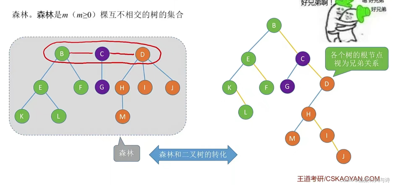 王道数据结构第五章:树与二叉树王道树与二叉树 Csdn博客