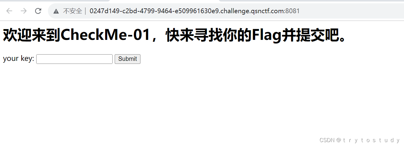{青少年CTF} CheckMe01 详解_青少年ctf mc大挑战01-CSDN博客