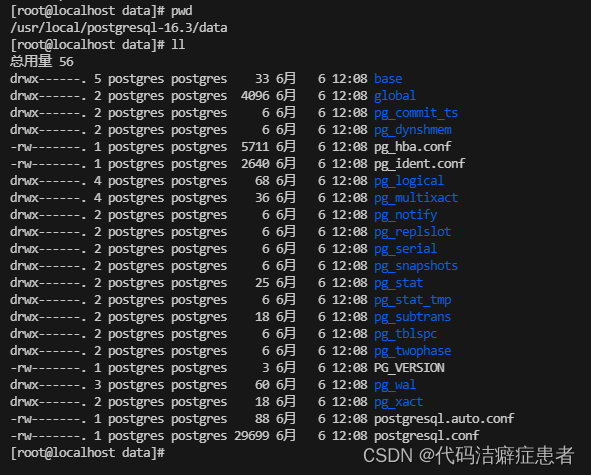 CentOS 环境下 PostgreSQL 在线安装和源码安装详解_centos安装pg数据库-CSDN博客