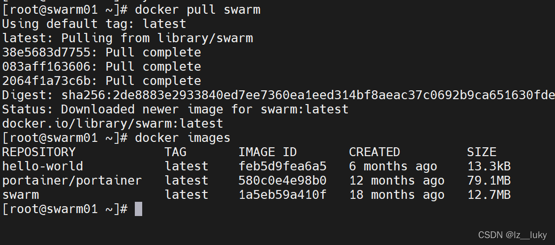 swarm集群搭建教程_docker swarm 初始化-CSDN博客
