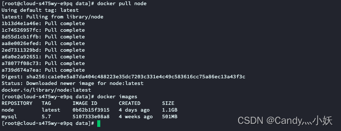 CentOS 搭建docker以及docker的使用 （二）_docker pull node-CSDN博客