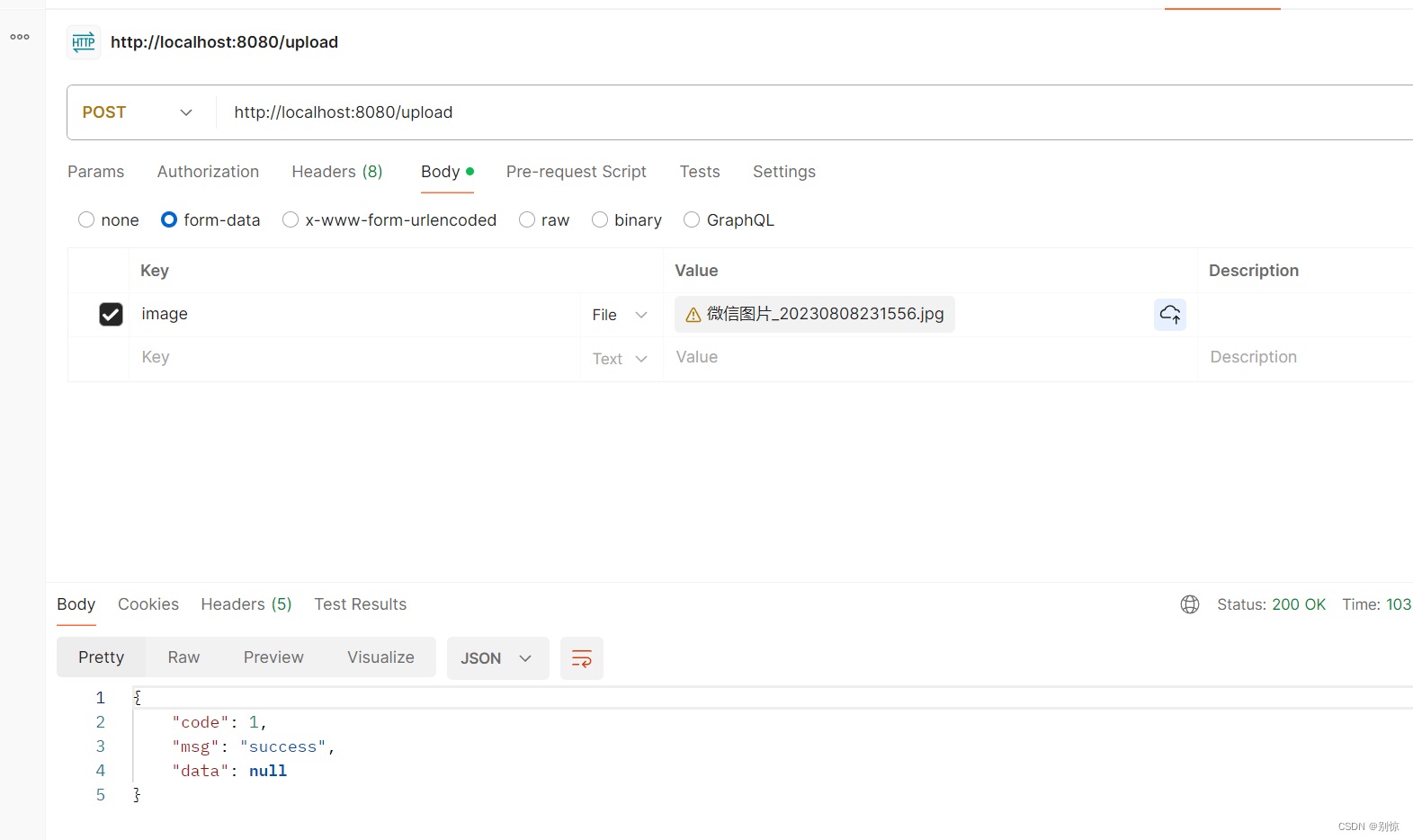 IntelliJ IDEA 2023.黑马程序员javaweb案例 本地储存qimage.transferTo报错未处理 异常： java.io.IOException-CSDN博客