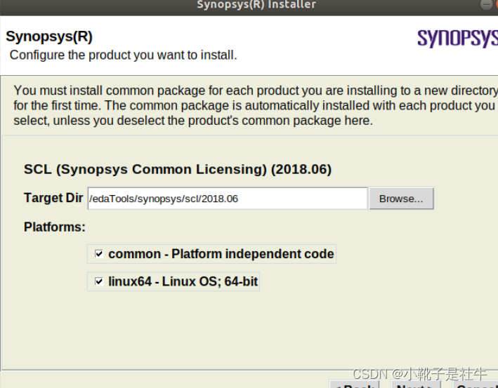 WIN10和Ubuntu双系统安装以及Synopsys工具环境的搭建_ubuntu 安装synopsys 碰到 singularity centos container-CSDN博客