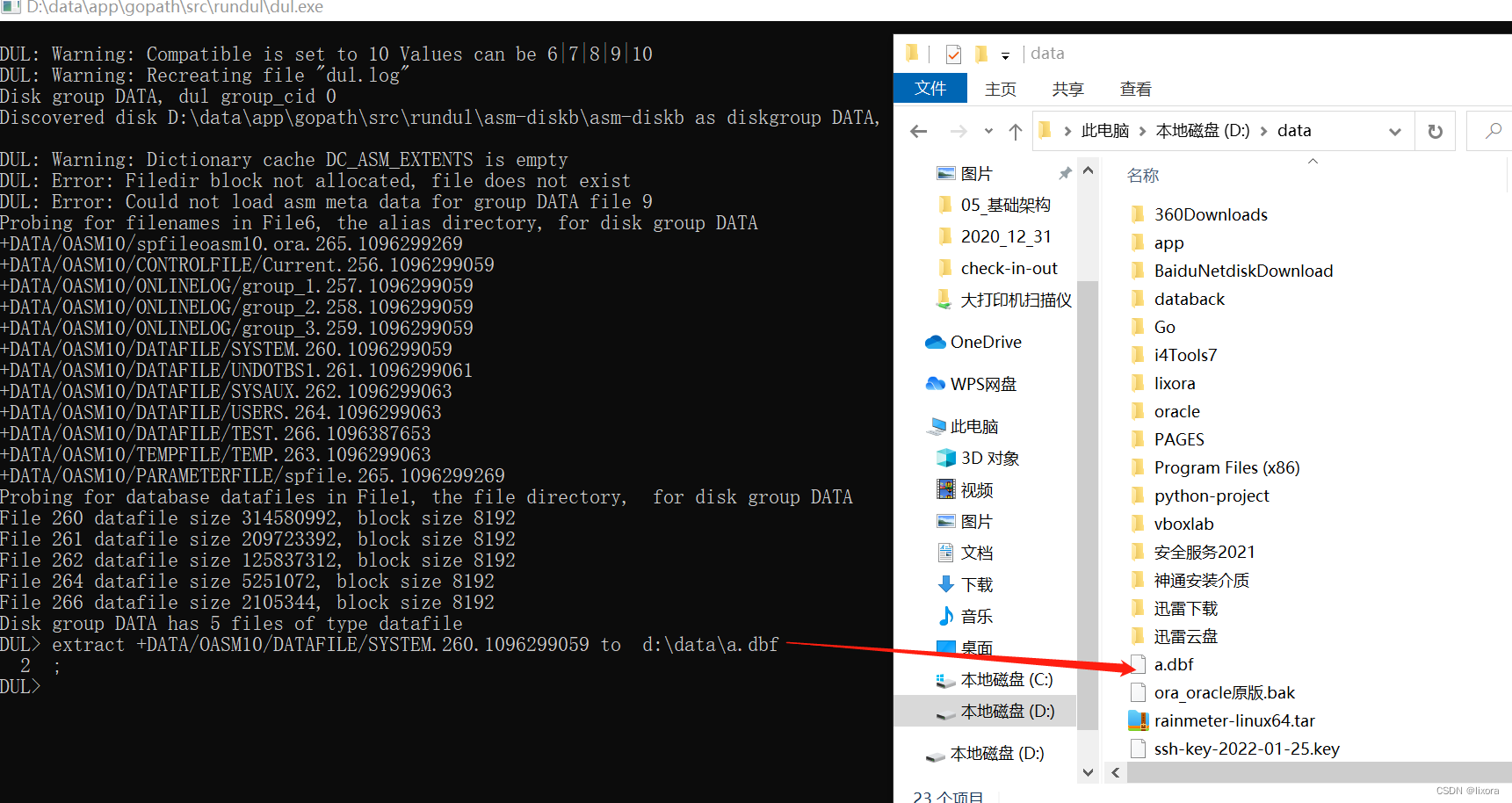 windows 平台使用dul 抽取Linux oracle ASM 磁盘数据文件_dul 抽数-CSDN博客