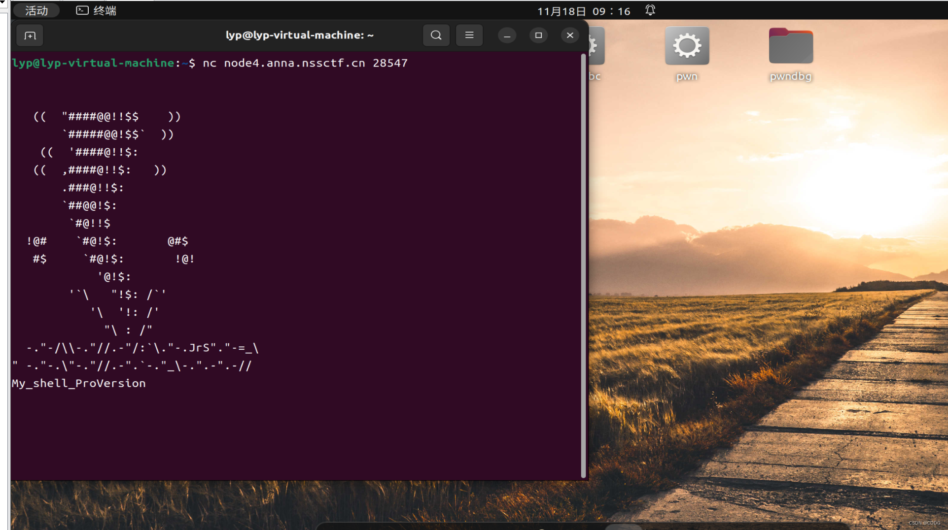 nss_pwn部分题解_[watevrctf 2019]voting machine 2-CSDN博客